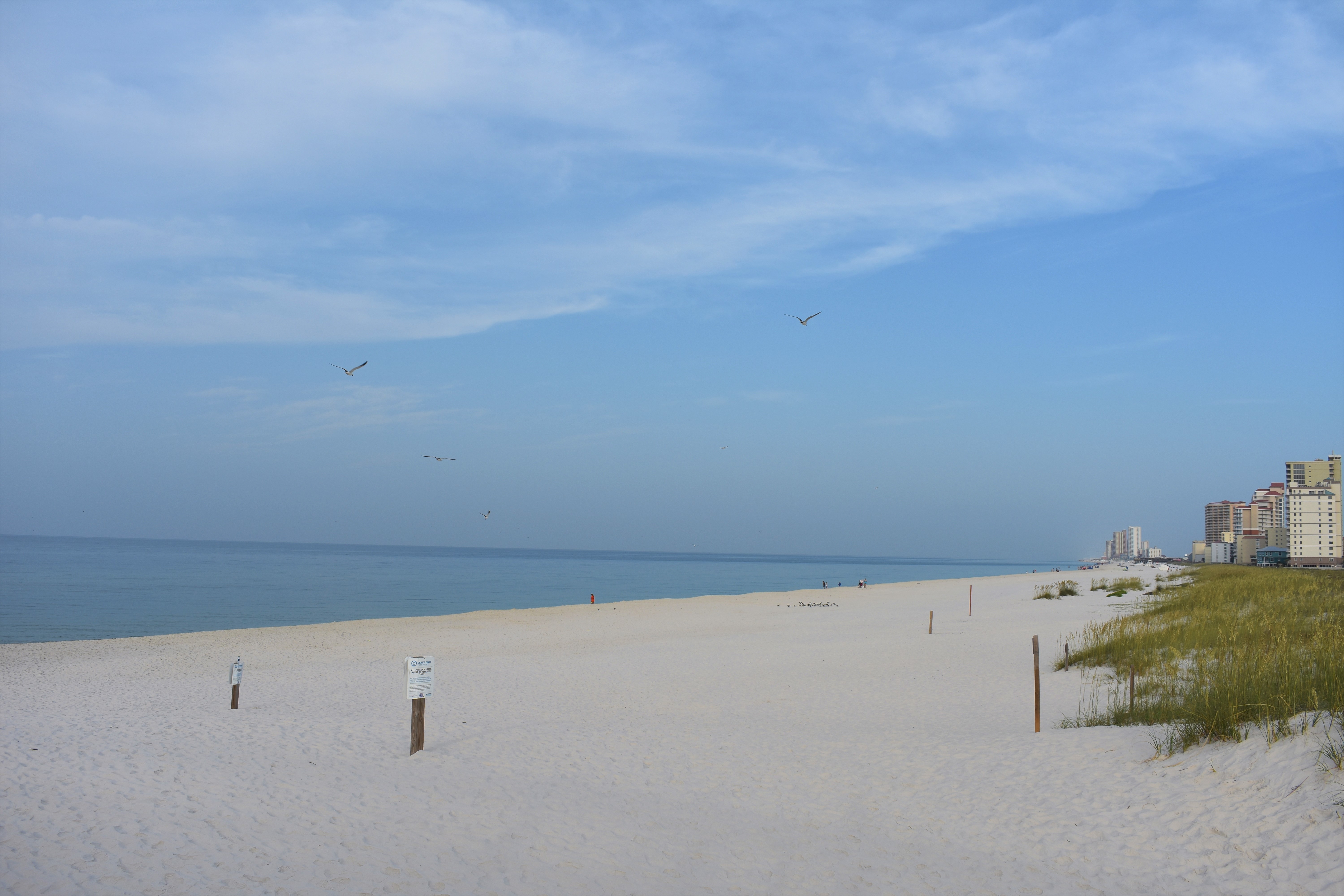 18 Things to See and Do on Alabama’s Coastal Connection National Scenic ...